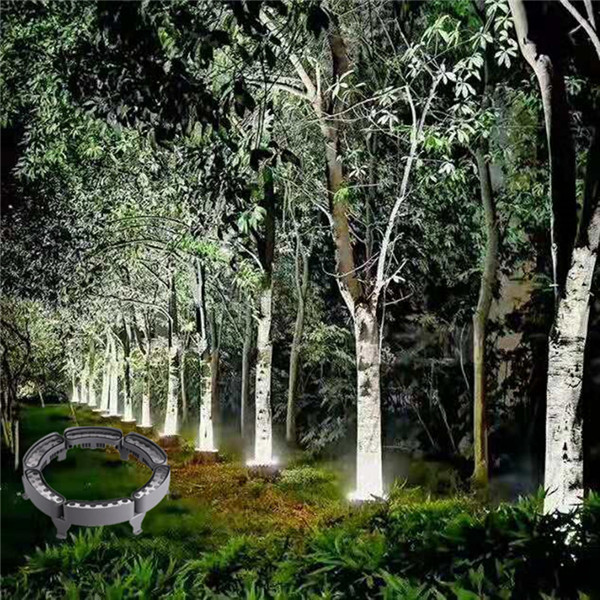 Lighting Palm Tree Rings